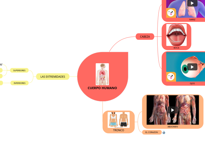 CUERPO HUMANO - Mind Map